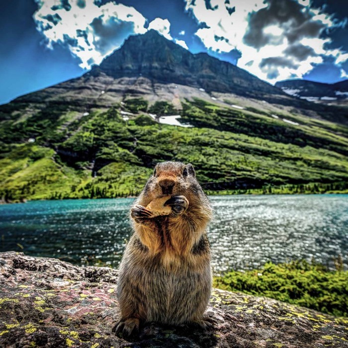 Un Parc Internaţional al Păcii | Pro Jesus